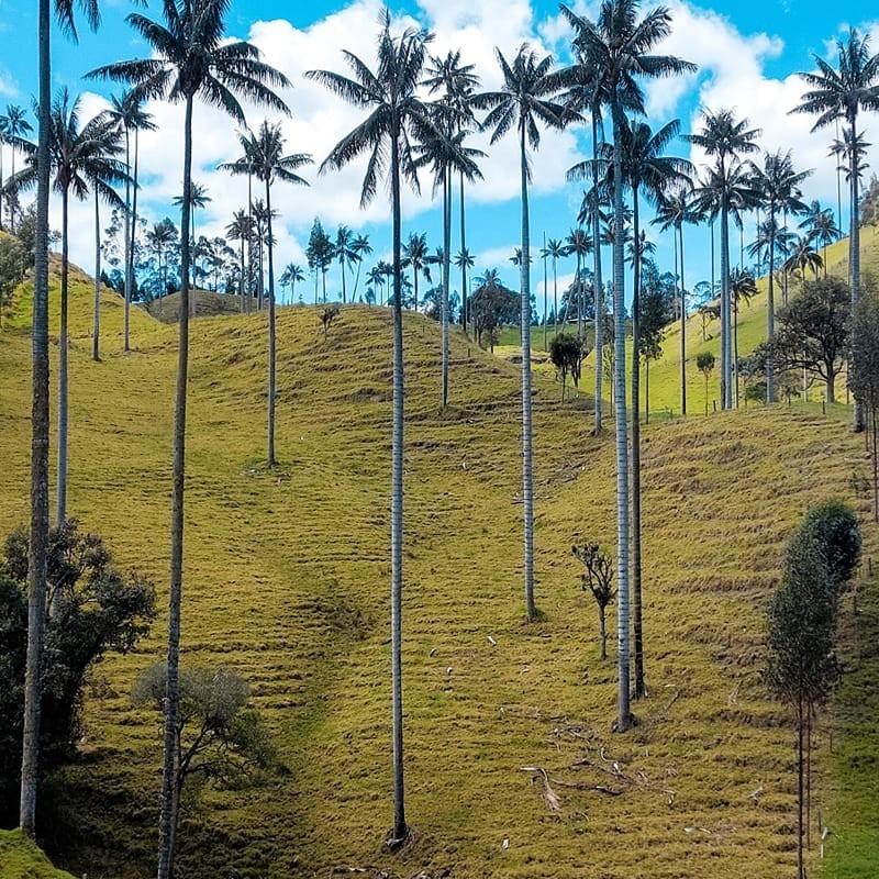 Mirador Valle del Samaria, Salamina, Caldas